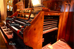 organ-labeled - Friends of the Erben Organ